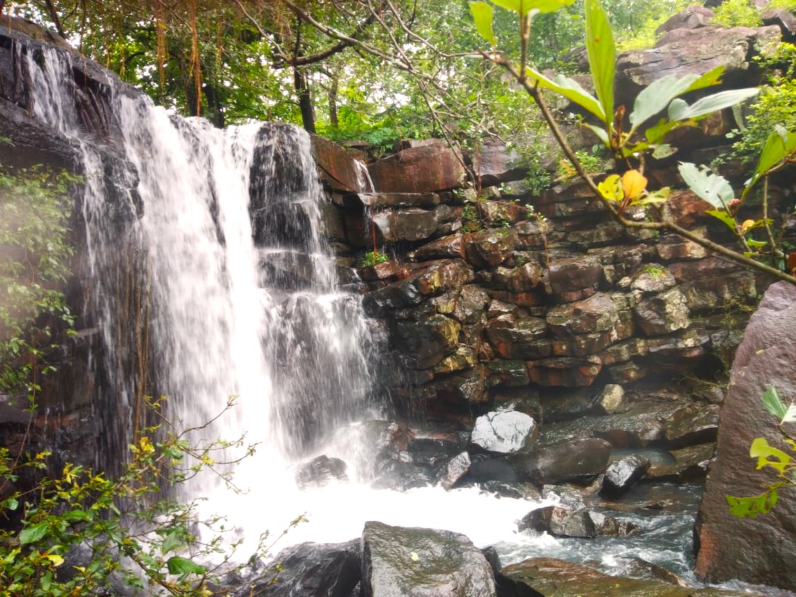 About Kathotiya | Hidden Jewel of MP's Forests | Trekking Place in Bhopal